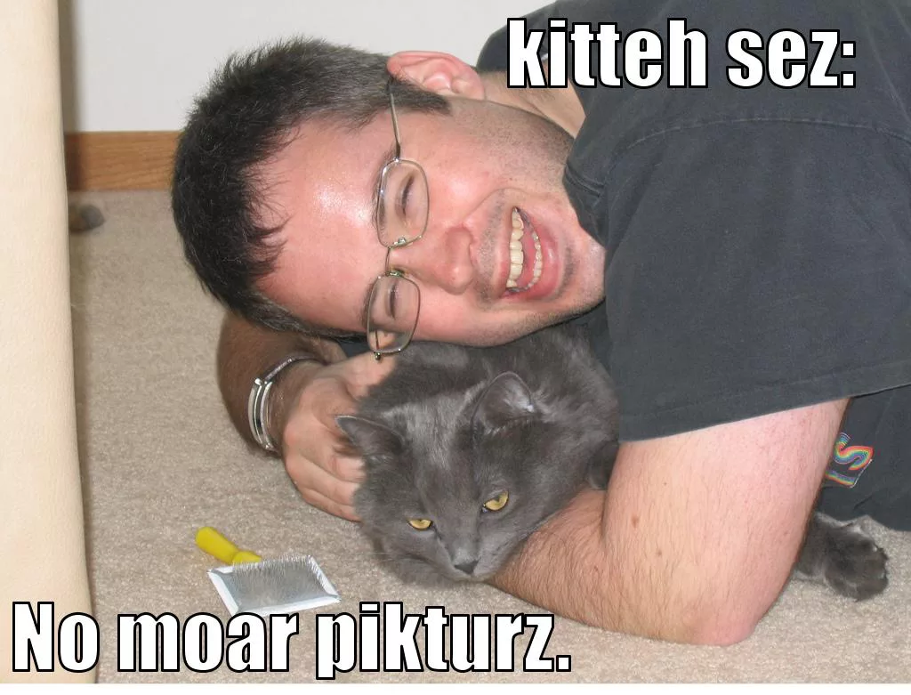 kitteh sez: No moar pikturz. | Kris Bunda Design